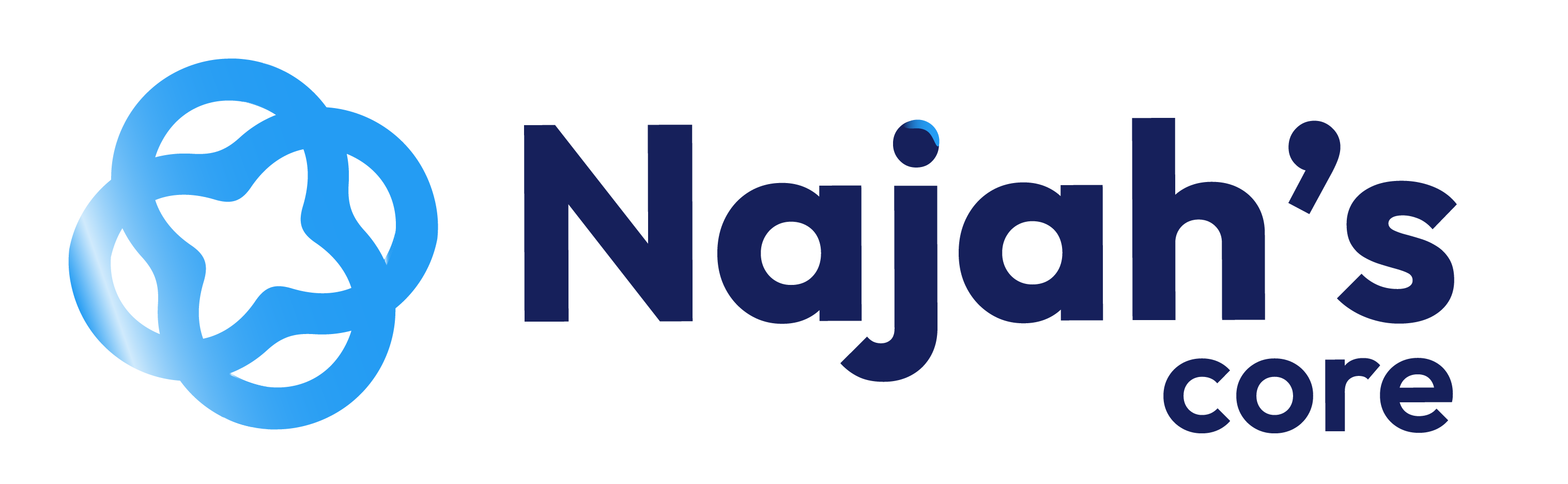 Najah's Core - Solutions Numériques Innovantes pour TPME et Particuliers